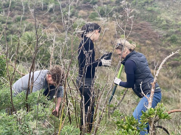 Application Guidelines